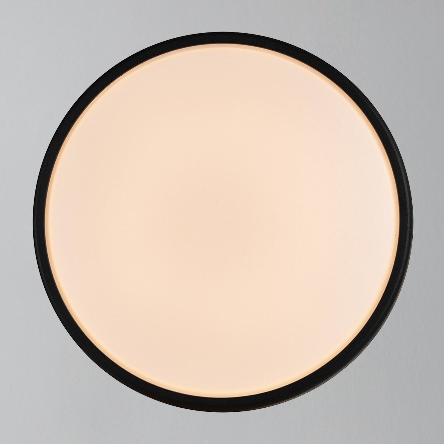 Nordlux Oliver Round LED Outdoor Wall Light, Black/Opal IP54 – Lampsy